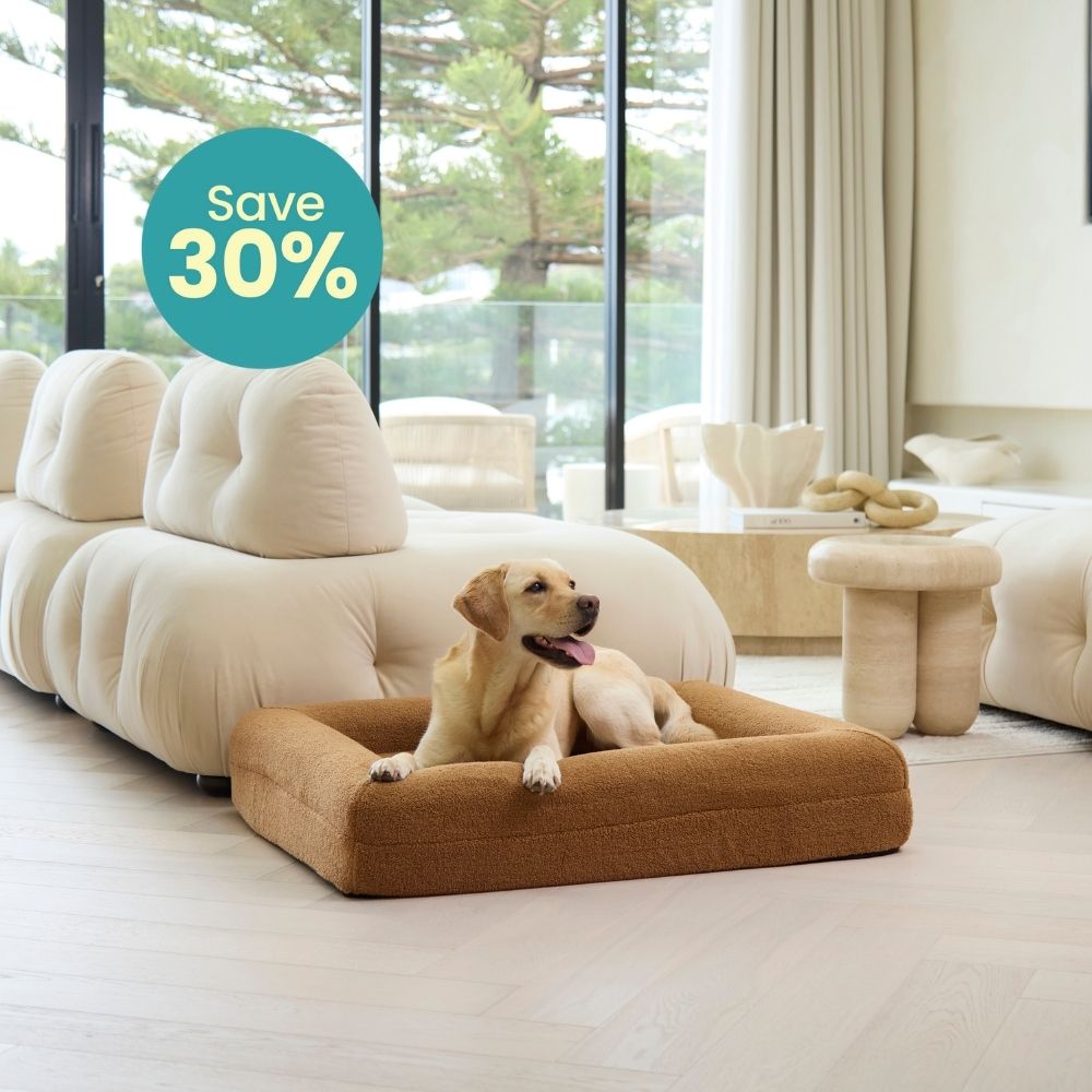 Cover - Polar Fleece Golden Brown – Dazy Dog