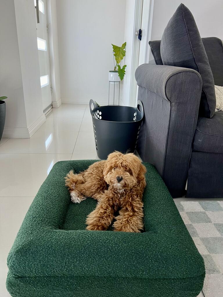 'The most comfortable bed yet!!'