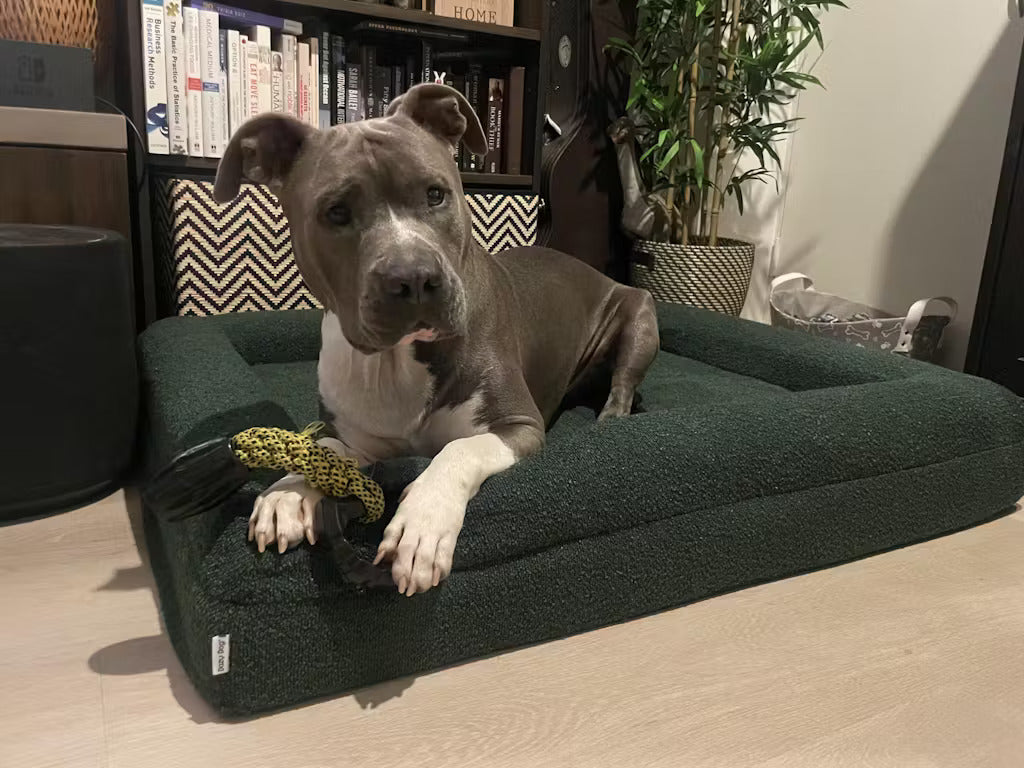 "The quality is impeccable and the bed looks really stylish in our home! We couldn’t be happier!"