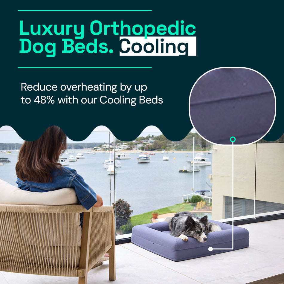 Cooling Beds – Dazy Dog