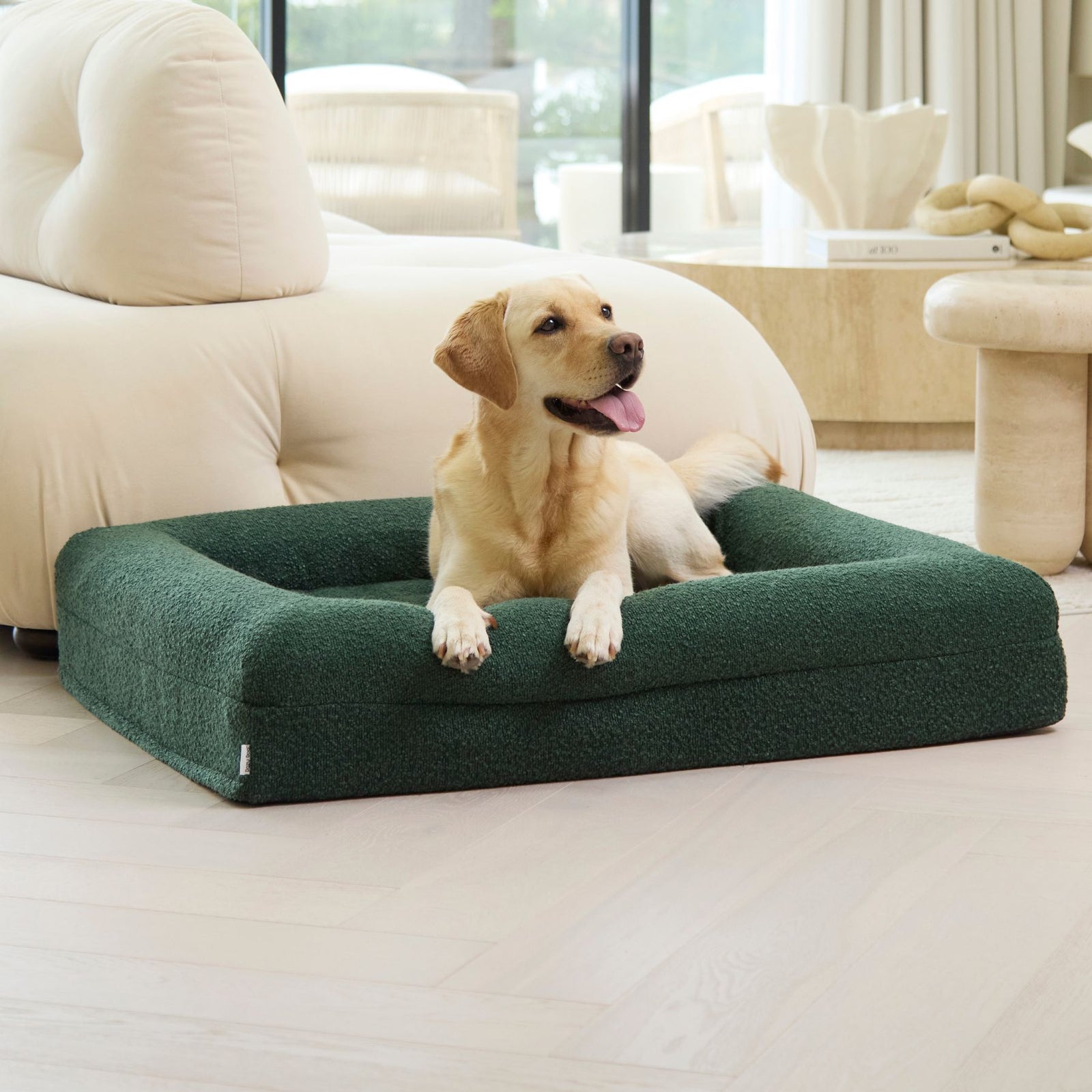 Australia's Best Value Luxury Dog Beds – Dazy Dog