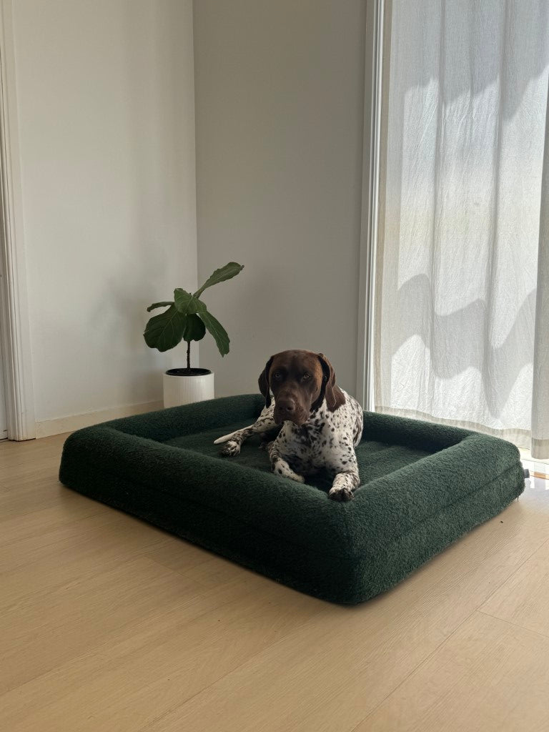 'memory foam, boucle fabric, aesthetically pleasing'