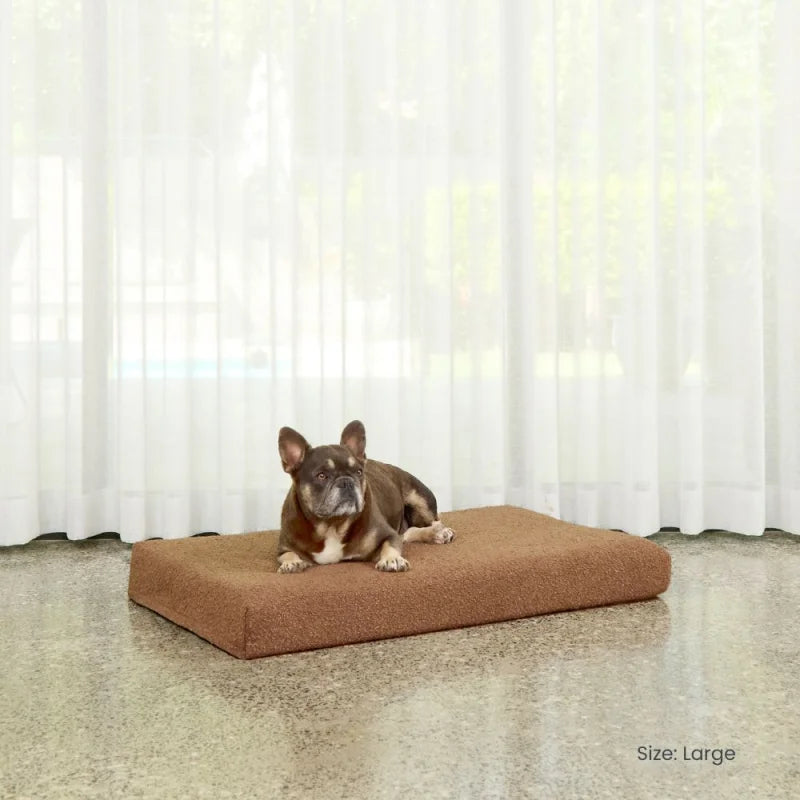 Orthopaedic Mattress - Bouclé Cocoa – Dazy Dog