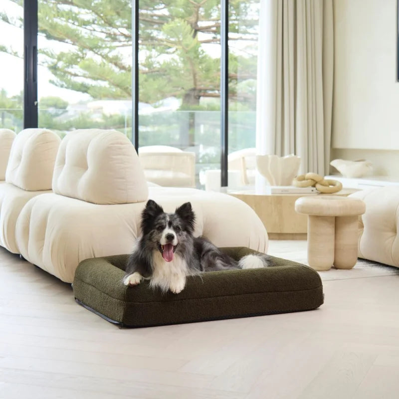 Memory Foam Dog Bed - Polar Fleece Olive – Dazy Dog
