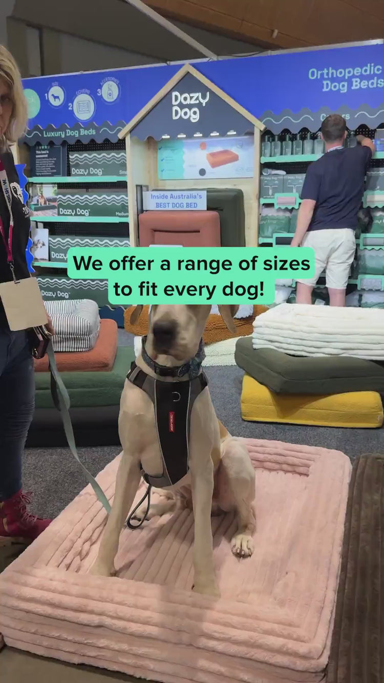 Size Guide Orthopedic Dog Bed – Dazy Dog