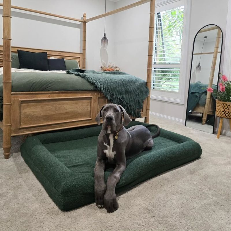 Size Guide Orthopedic Dog Bed – Dazy Dog